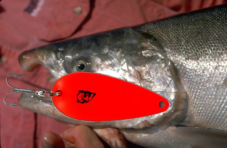 Deshka Daredevil – Alaska Outdoors Magazine